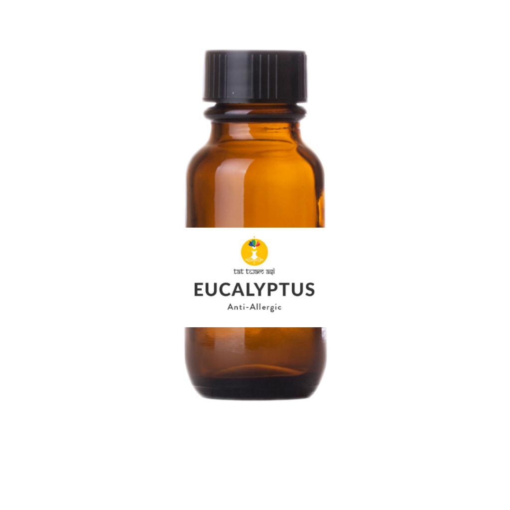 Eucalyptus Essential Oil Tattwamasi Eucalyptus Essential Oil Tattwamasi